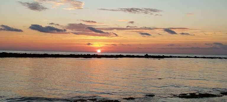 SHAHEED DWEEP NEIL ISLAND · Tourism in Andaman With Andaman Bluebay ...